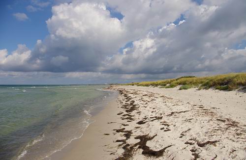 Skånska Bilder - Falsterbo (1270)