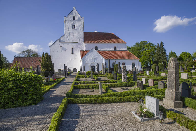 Skånska Bilder - Dalby kyrka (9906)